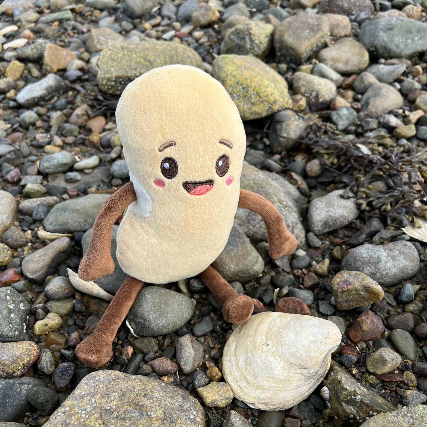 Benny the Bean Plushie – Beanstack