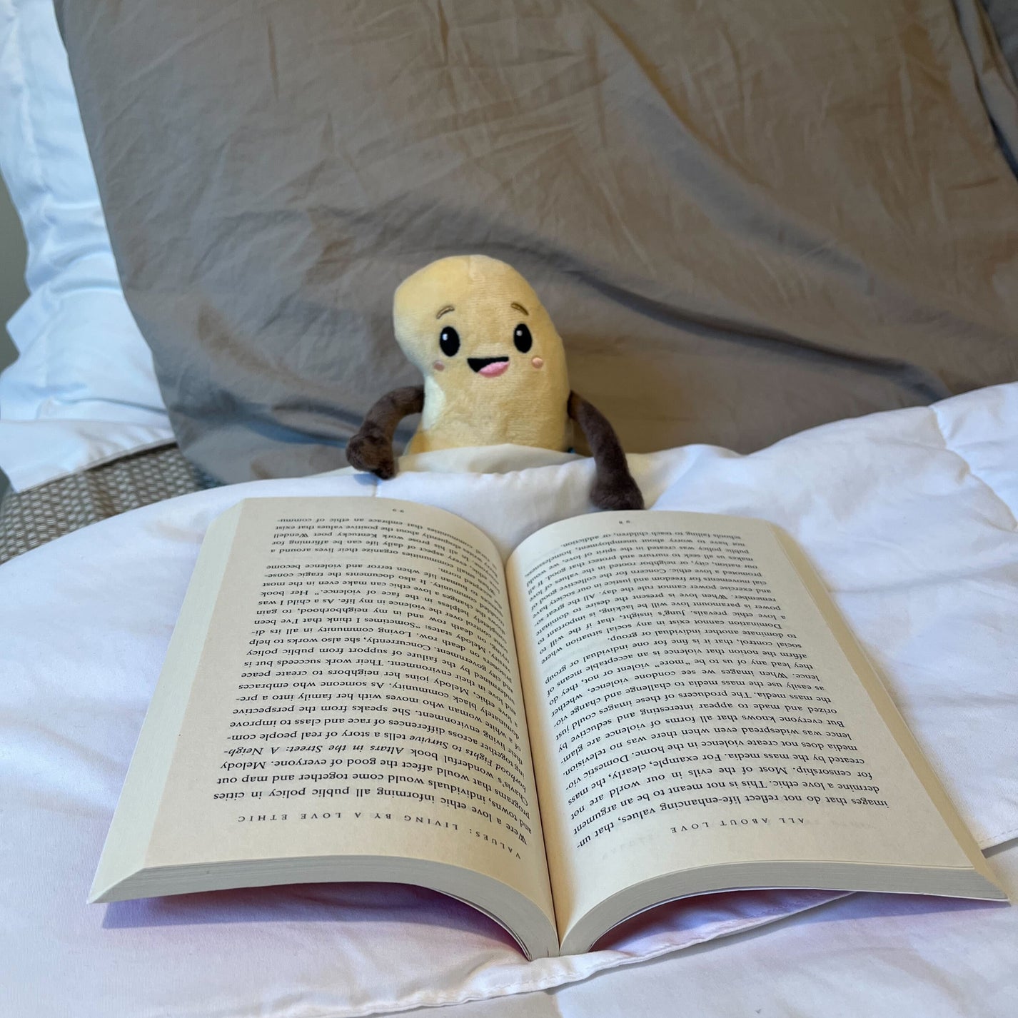 Benny the Bean Plushie – Beanstack